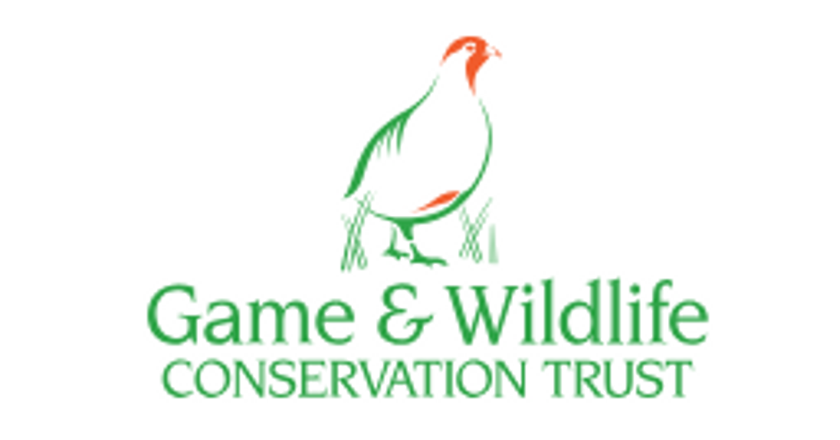 GWCT Christmas Cards | Buy Game & Wildlife Conservation Trust Cards ...