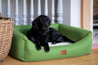 The Red Dog Company & GWCT Dog beds – Game and Wildlife Conservation Trust